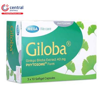 [CHÍNH HÃNG] Thuốc Giloba 40mg hỗ trợ điều trị suy tuần hoàn não