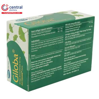 [CHÍNH HÃNG] Thuốc Giloba 40mg hỗ trợ điều trị suy tuần hoàn não