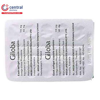 [CHÍNH HÃNG] Thuốc Giloba 40mg hỗ trợ điều trị suy tuần hoàn não