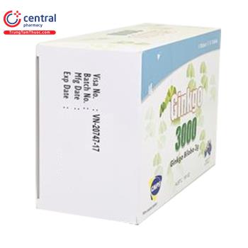 Thuốc Ginkgo 3000 tăng cường tuần hoàn não, dự phòng đột quỵ