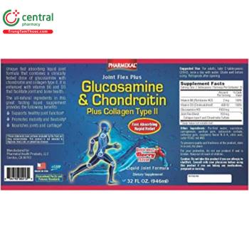 Thuốc Joint Flex Plus Glucosamine & Chondroitin Plus Collagen Tuyp II ...