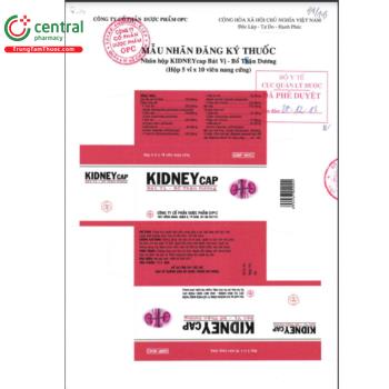 Thuốc Kidneycap OPC - Điều trị thận dương yếu, ù tai, đau lưng