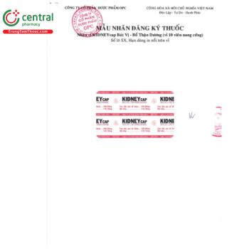 Thuốc Kidneycap OPC - Điều trị thận dương yếu, ù tai, đau lưng