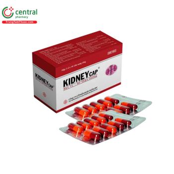 Thuốc Kidneycap OPC - Điều trị thận dương yếu, ù tai, đau lưng