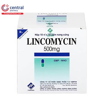 [CHÍNH HÃNG] Thuốc Lincomycin 500mg Vidipha - Cách sử dụng hiệu quả
