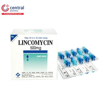 [CHÍNH HÃNG] Thuốc Lincomycin 500mg Vidipha - Cách sử dụng hiệu quả