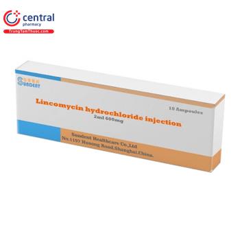 [CHÍNH HÃNG] Thuốc Lincomycin Hydrochloride Injection: tác dụng