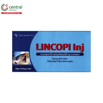 Thuốc Lincopi Inj 600mg điều trị nhiễm khuẩn nặng do vi khuẩn nhạy cảm