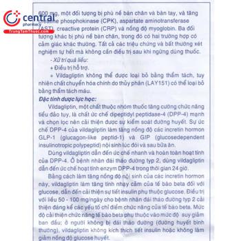 Thuốc Meyerviliptin 50mg - giải pháp cho bệnh nhân tiểu đường týp 2