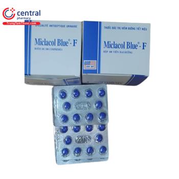 Thuốc Miclacol Blue - F hỗ trợ điều trị viêm đường tiết niệu