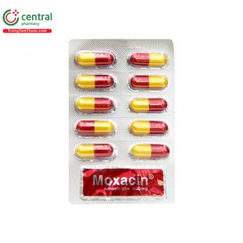 Thuốc Moxacin 500mg điều trị nhiễm khuẩn hô hấp, da, tiết niệu