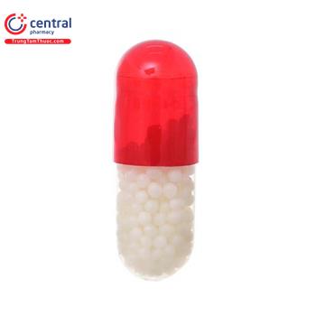 Thuốc Nitrostad Retard 2.5: Chỉ định, liều dùng và lưu ý sử dụng