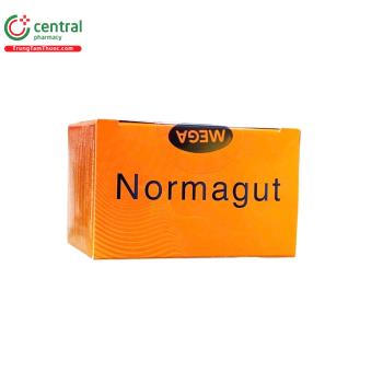 Normagut 250mg Sachet hỗ trợ cải thiện tiêu hóa, giảm khó tiêu, đầy bụng