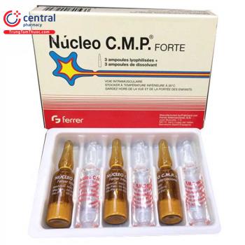 Thuốc Núcleo C.M.P Forte - Thuốc tiêm điều trị tổn thương thần kinh