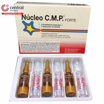 Thuốc Núcleo C.M.P Forte - Thuốc tiêm điều trị tổn thương thần kinh