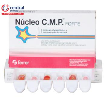 Thuốc Núcleo C.M.P Forte - Thuốc tiêm điều trị tổn thương thần kinh