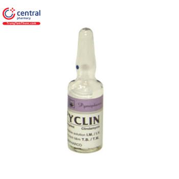 [CHÍNH HÃNG] Thuốc Pyclin 600 - thuốc điều trị nhiễm khuẩn hiệu quả