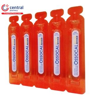 [CHÍNH HÃNG] Thuốc Ossocal: tác dụng, liều dùng và lưu ý khi sử dụng.