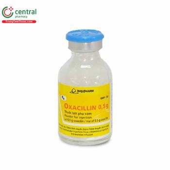 Thuốc Oxacillin 0.5g Imexpharm trị nhiễm khuẩn gây ra bởi tụ cầu