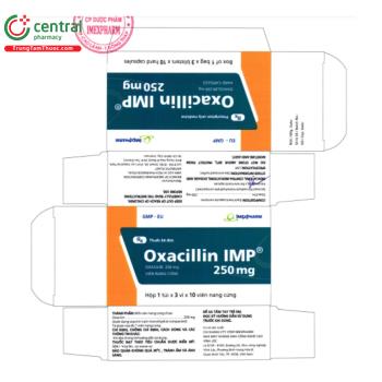 Thuốc Oxacillin IMP 250mg - trị nhiễm khuẩn đường hô hấp hiệu quả
