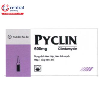 [CHÍNH HÃNG] Thuốc Pyclin 600 - thuốc điều trị nhiễm khuẩn hiệu quả