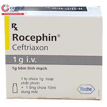 Thuốc Rocephin 1g I.V: chỉ định, cách dùng và giá bán