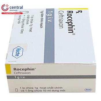 Thuốc Rocephin 1g I.V: chỉ định, cách dùng và giá bán