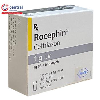 Thuốc Rocephin 1g I.V: chỉ định, cách dùng và giá bán