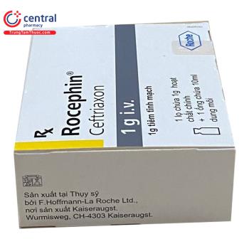 Thuốc Rocephin 1g I.V: chỉ định, cách dùng và giá bán