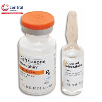 Thuốc kháng sinh Rocephin 250mg i.v: Liều dùng, cách dùng đúng cách