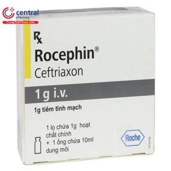 Thuốc Rocephin 1g I.V: chỉ định, cách dùng và giá bán