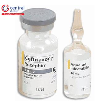 Thuốc Rocephin 1g I.V: chỉ định, cách dùng và giá bán