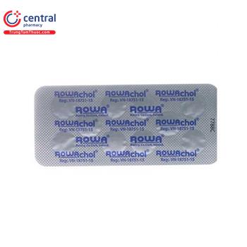 Thuốc Rowachol: Chỉ định, liều dùng và lưu ý khi sử dụng