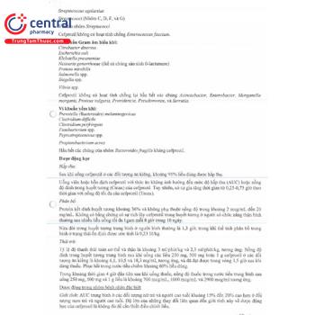 [CHÍNH HÃNG] Thuốc Samnir 250mg/5ml: chỉ định, liều dùng