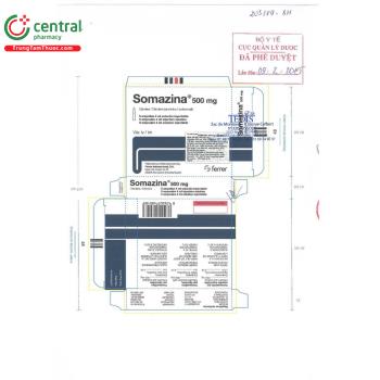 Thuốc Somazina 500mg/4ml điều trị đột quỵ cấp và chấn thương sọ não