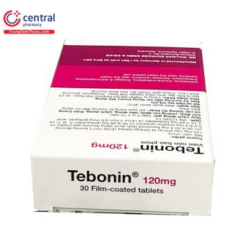 [CHÍNH HÃNG] Thuốc Tebonin 120mg điều trị suy tuần hoàn não