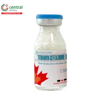 Thuốc Tenamyd-Ceftazidime 1000 điều trị nhiễm khuẩn hô hấp, tiết niệu