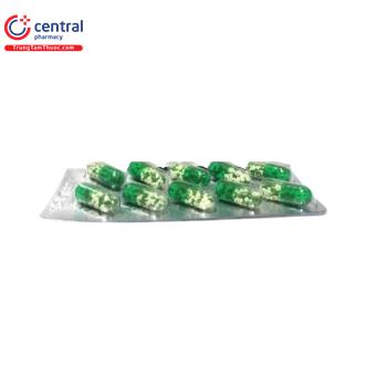 Thuốc Terpin Benzoat Mipharmco - Giải pháp long đờm trong viêm phế quản ...