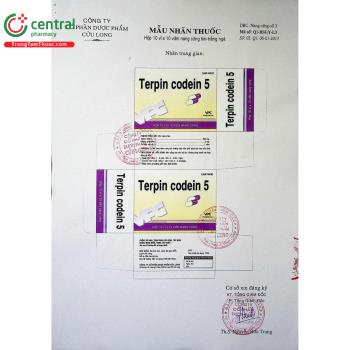 Thuốc Terpin Codein 5 PVC giải pháp cắt cơn ho, giảm đờm nhanh chóng
