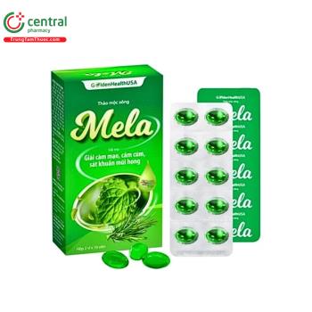 Thảo mộc xông Mela – Hỗ trợ vệ sinh tai mũi họng, giải cảm