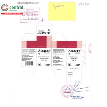 Thuốc Alfacef 1g giúp điều trị nhiễm khuẩn nặng, nhiễm khuẩn hô hấp