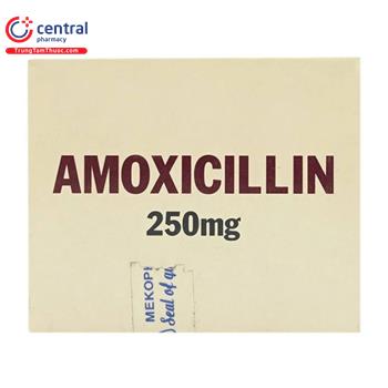 [CHÍNH HÃNG] Thuốc kháng sinh Amoxicillin 250mg Mekophar