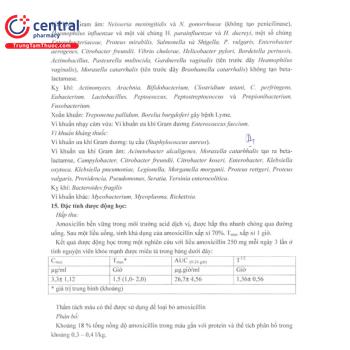 [CHÍNH HÃNG] Thuốc Amoxicillin Capsules BP 500mg Brawn