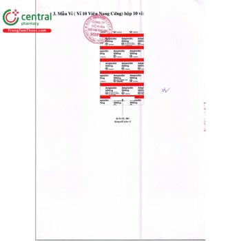 Thuốc Ampicilin 500mg Vidipha điều trị viêm đường hô hấp trên