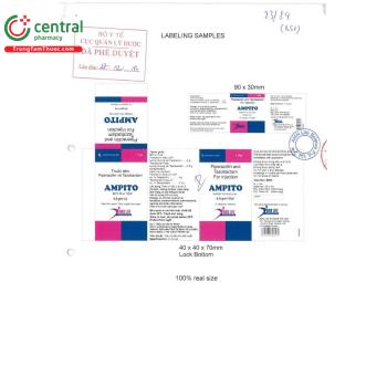 Thuốc Ampito điều trị nhiễm trùng tại chỗ hoặc toàn thân do vi khuẩn