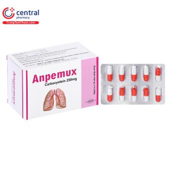 [CHÍNH HÃNG] Thuốc Anpemux 250mg điều trị tăng tiết dịch phế quản