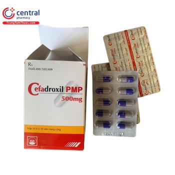 [CHÍNH HÃNG] Thuốc Cefadroxil PMP 500mg điều trị nhiễm khuẩn hiệu quả