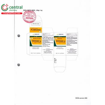 Thuốc Cefotiam 1g Imexpharm điều trị nhiễm khuẩn do vi khuẩn nhạy cảm
