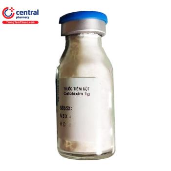 [CHÍNH HÃNG] Thuốc Cefovidi 1g điều trị nhiễm khuẩn máu, áp xe não