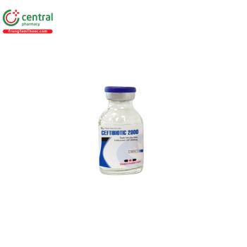Thuốc Ceftibiotic 2000 kháng sinh điều trị nhiễm khuẩn